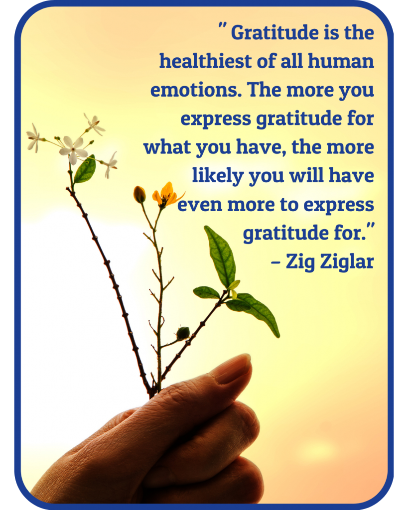 Unlocking the Healing Power of Gratitude for Seniors and Caregivers ...