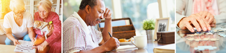 How to Help Seniors Maintain Their Minds and Memories: A Holistic ...